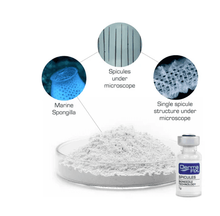 DermaFix Spicules- Professional Only - House of Camille